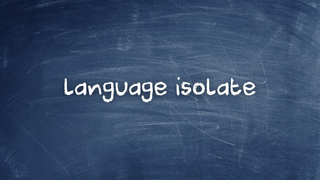 What are language isolates?